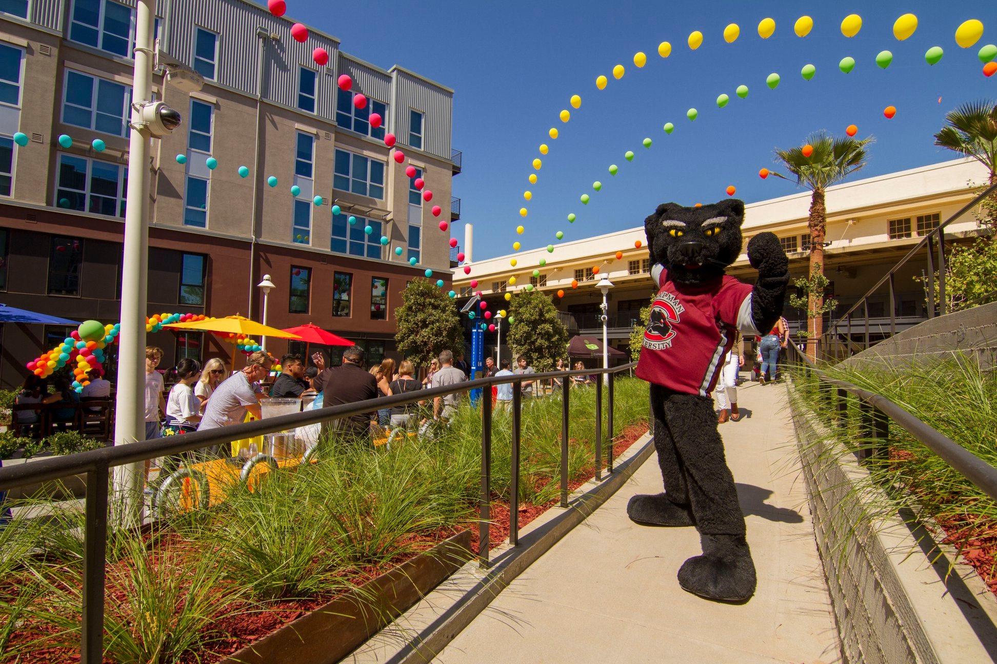 Homepage - Homecoming | Chapman University